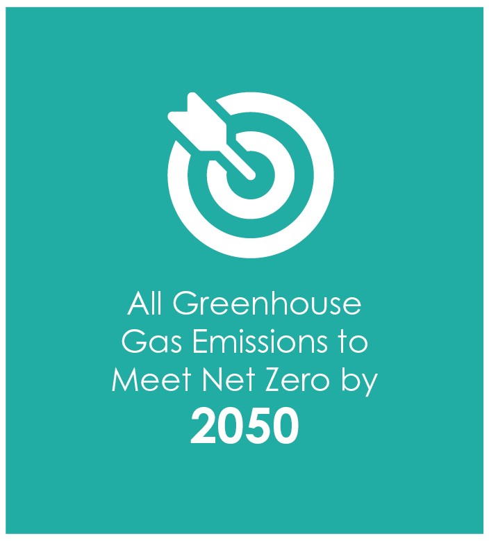 Net Zero | The Wastepack Group
