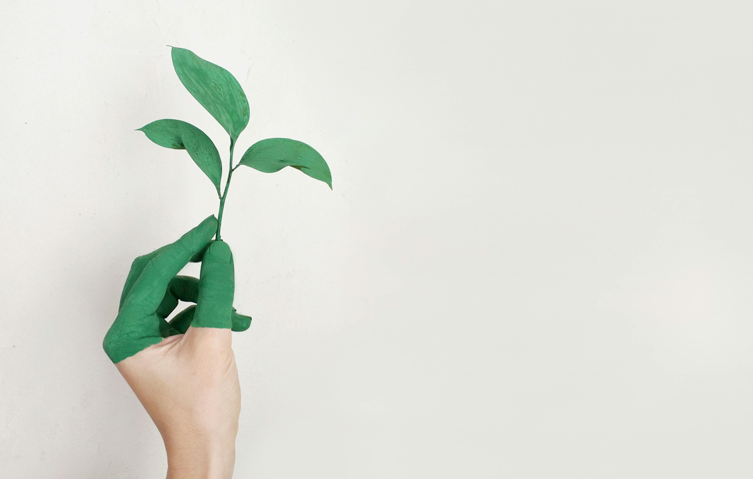 Initiative Launched to Accelerate UK Circular Economy | The Wastepack Group